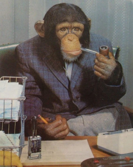 Category:Chimpanzees | Superhero Life V Wiki | Fandom