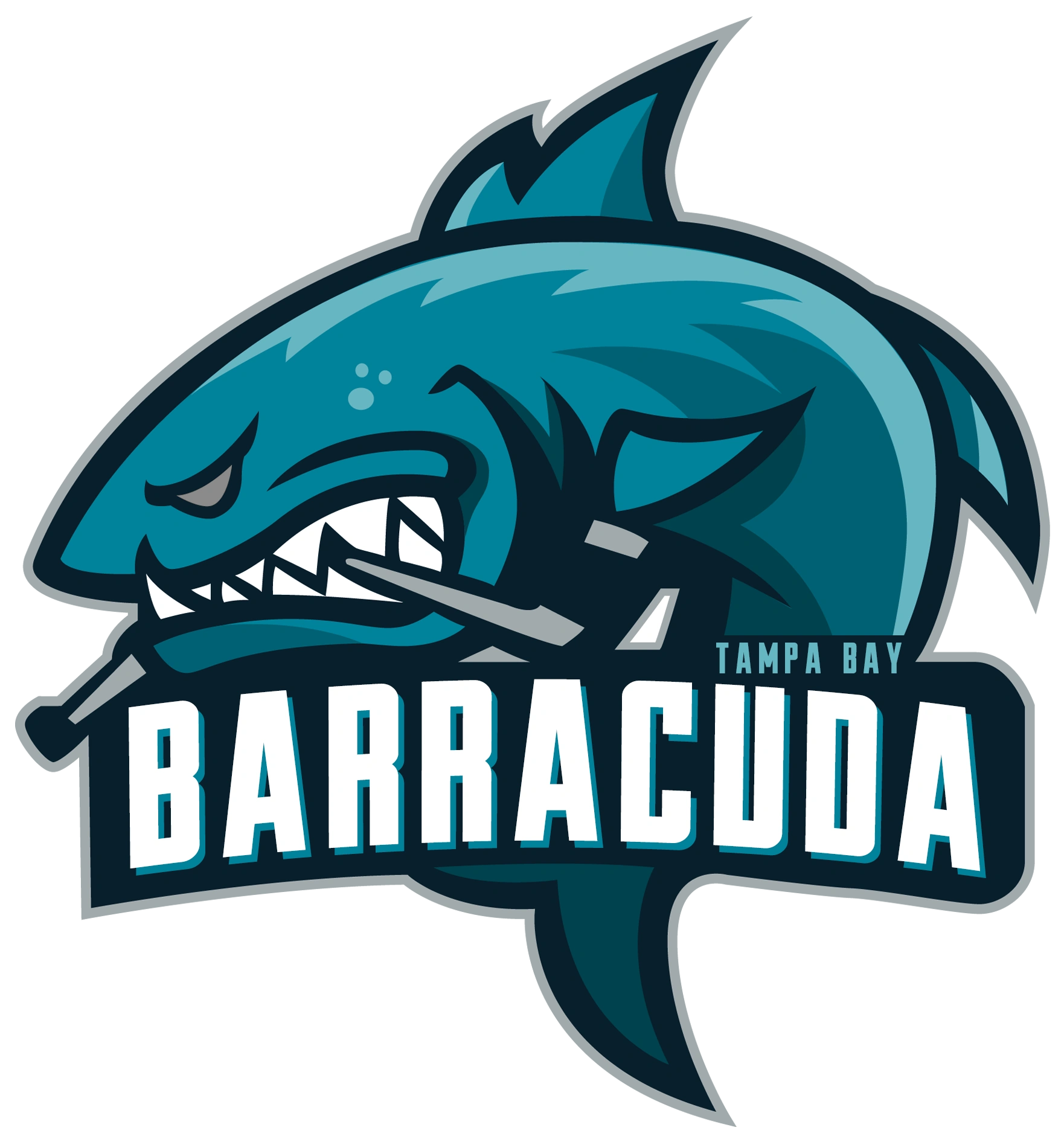 Barracuda Logo Png