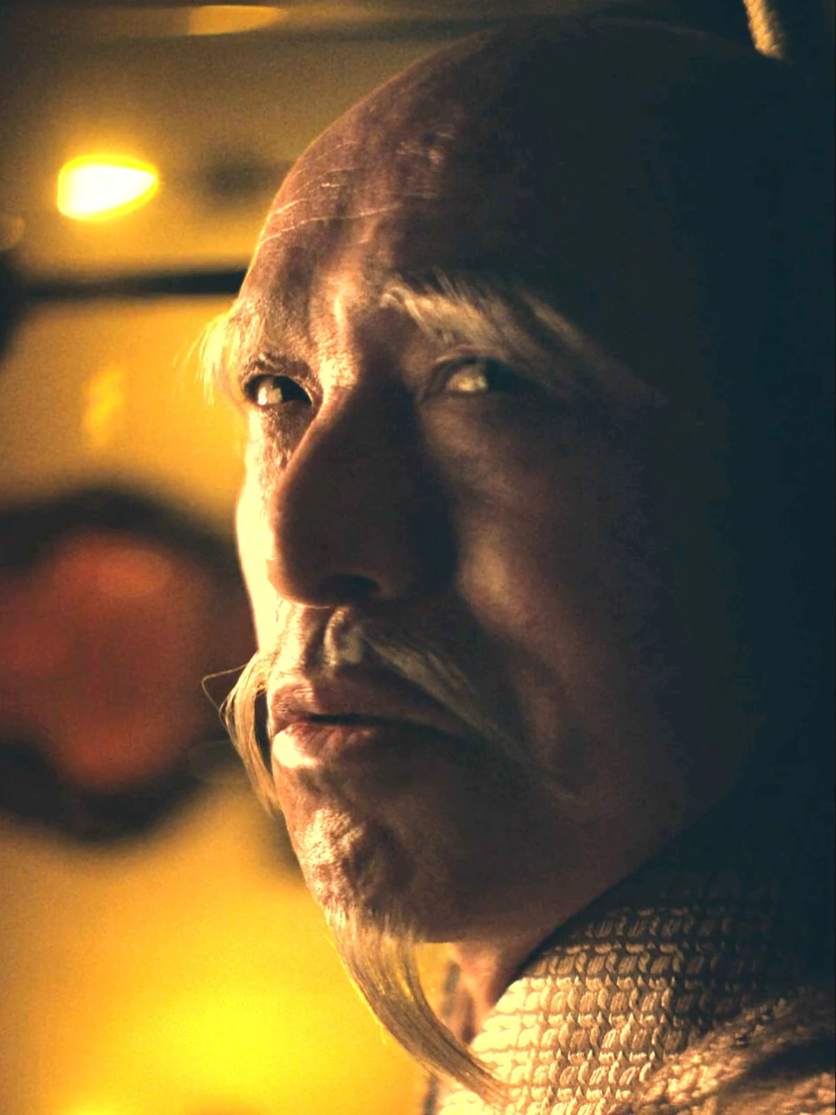 Taikō | Shogun Wiki | Fandom