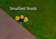 Smallest Noob | Shoot and Eat Noobs Wiki | Fandom