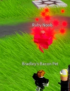 Ruby Noob | Shoot and Eat Noobs Wiki | Fandom