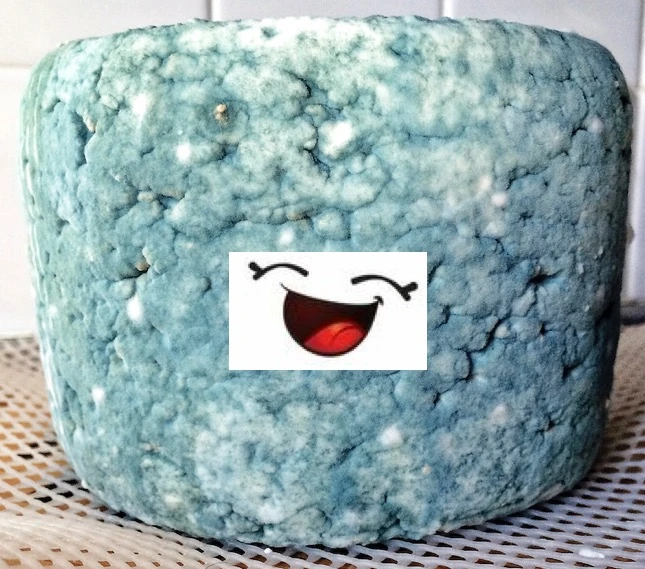 Blue Spew Cheese | Shopkins Gang Cartoon Wiki | Fandom