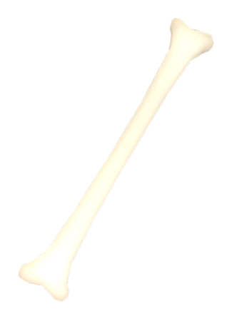 Solid Bone | Shoppe Keep Wikia | Fandom