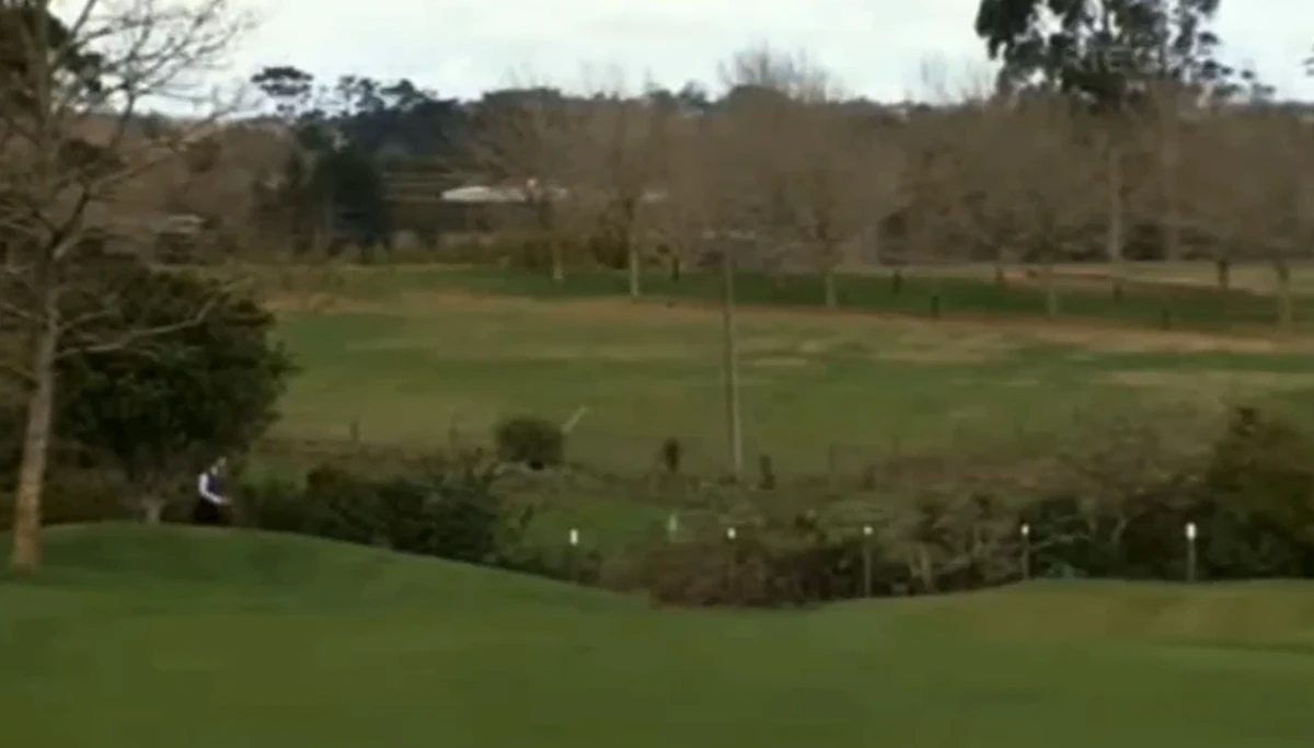 Ferndale Golf Club | Shortland Street Wiki | Fandom