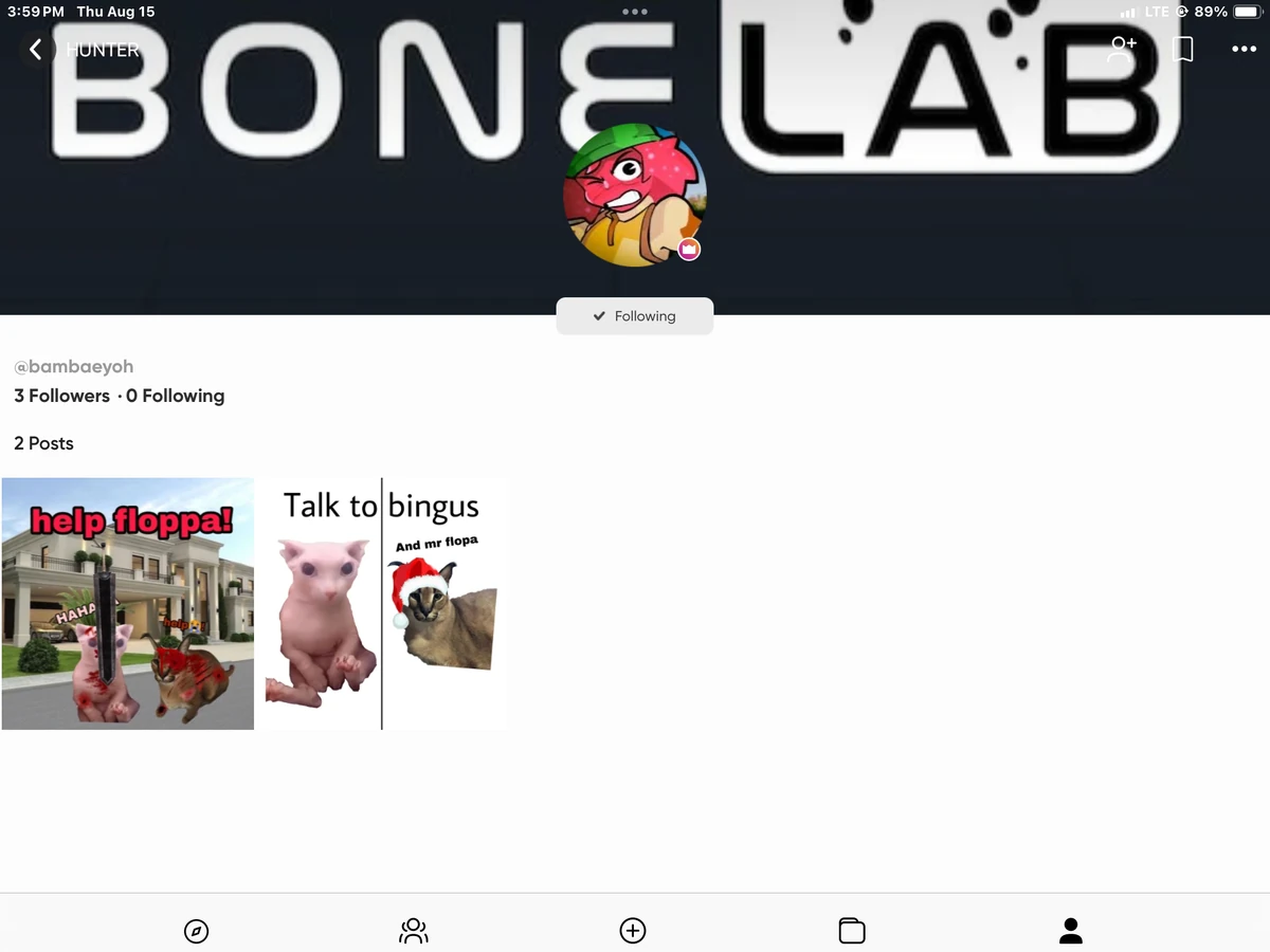 BamBaeYoh/Gallery | Shorts Wars Wiki | Fandom