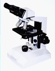 Shovelware's Brain Game/Questions and Answers | Shovelware's Brain Game Wiki | Fandom