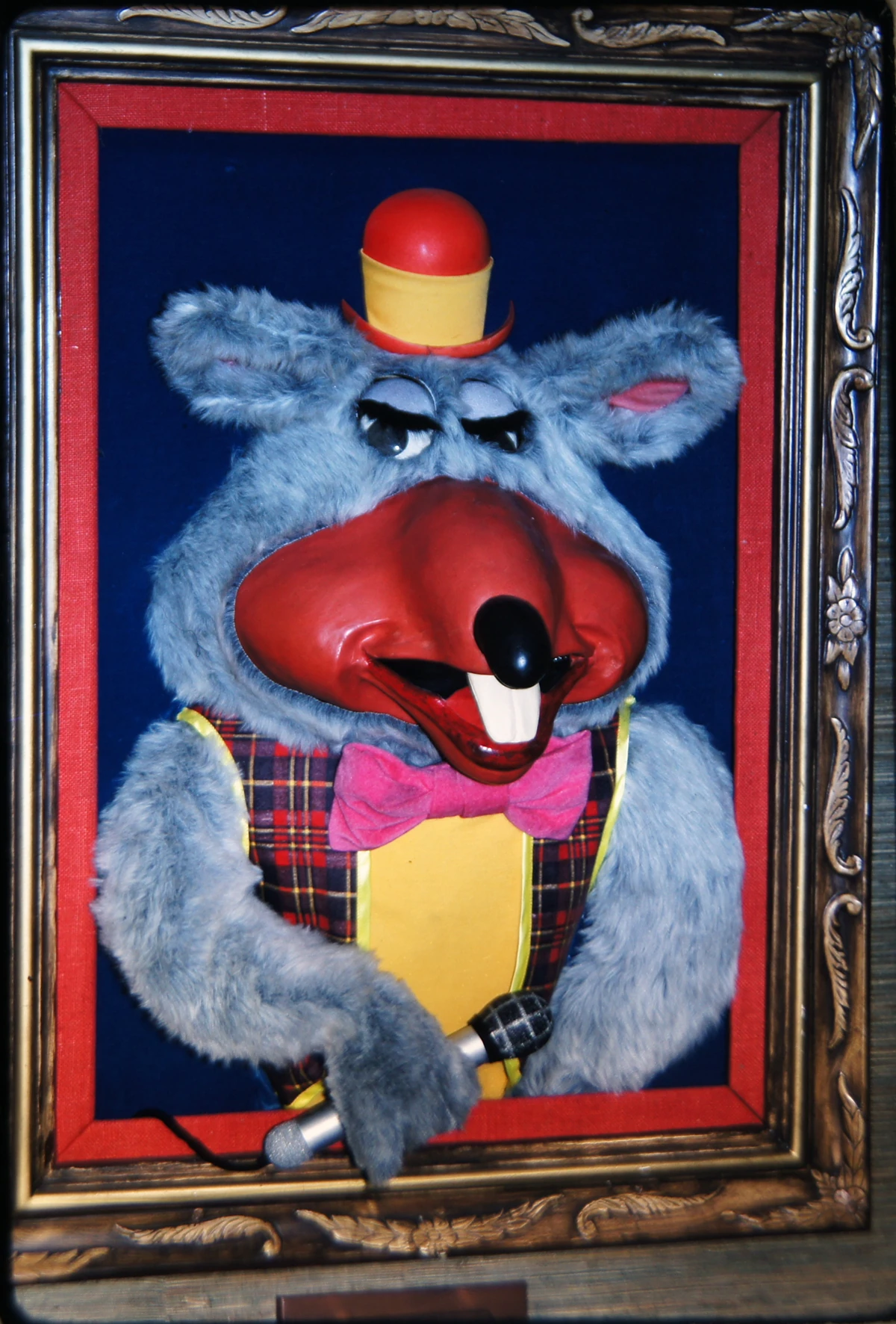 Chuck E. Cheese (Portrait/Shelf Gen 1) | Showbiz Pizza Time Wiki | Fandom