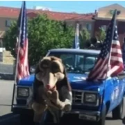 Wolfman Zapp | ShowBiz Pizza Wiki | Fandom