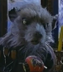 Master Splinter (The Next Mutation) | Showdown In Dimensions Wikia | Fandom