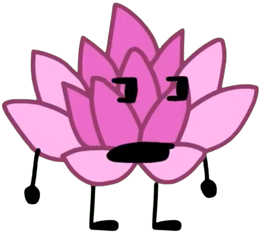 Category:Season 2 Contestants | Showvember Wiki | Fandom