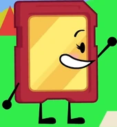 Memory Card | Showvember Wiki | Fandom