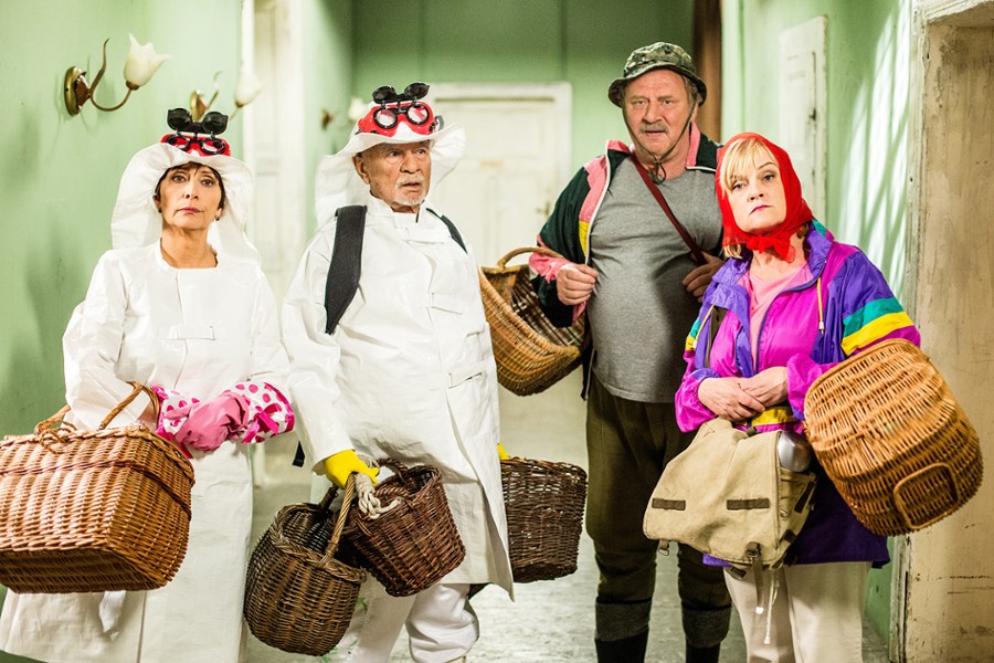 Grzyb Szatan Shrek I Osioł Wiki Fandom