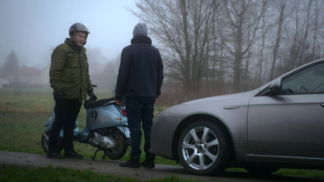 Nowy Image | Shrek i Osioł Wiki | Fandom