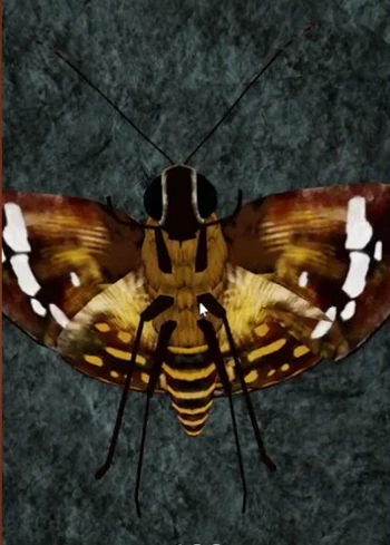 Deathmoths | Shrek in the Backrooms (Roblox) Wiki | Fandom