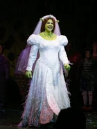 Princess Fiona | Shrek the Musical Wiki | Fandom