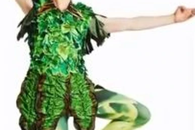 Peter Pan Shrek The Musical