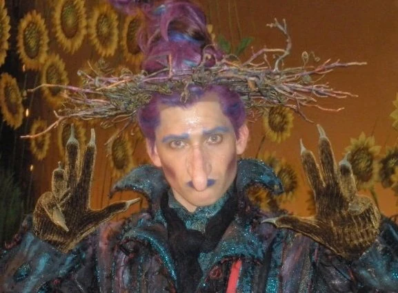 Wizard | Shrek the Musical Wiki | Fandom