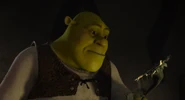 Sunflowers | WikiShrek | Fandom