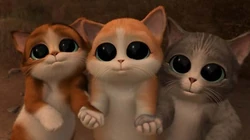 Puss In Boots The Three Diablos Perla