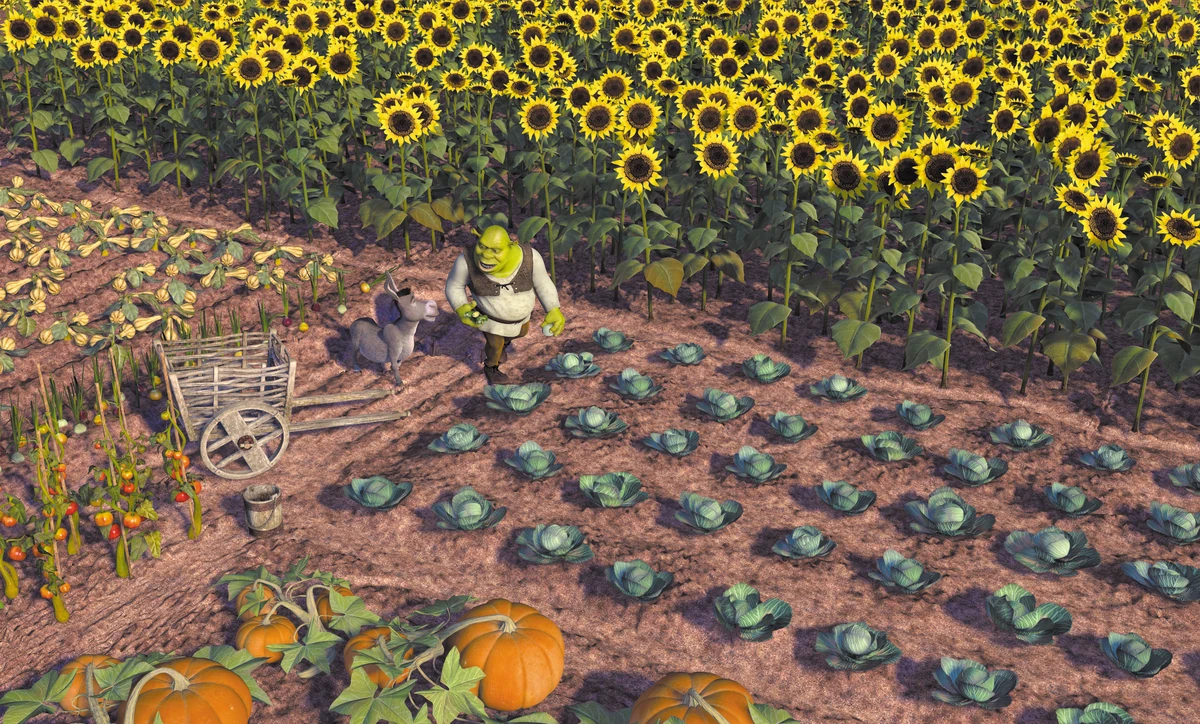 Sunflowers | WikiShrek | Fandom