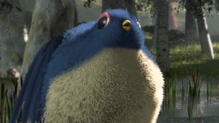Bluebird | WikiShrek | Fandom