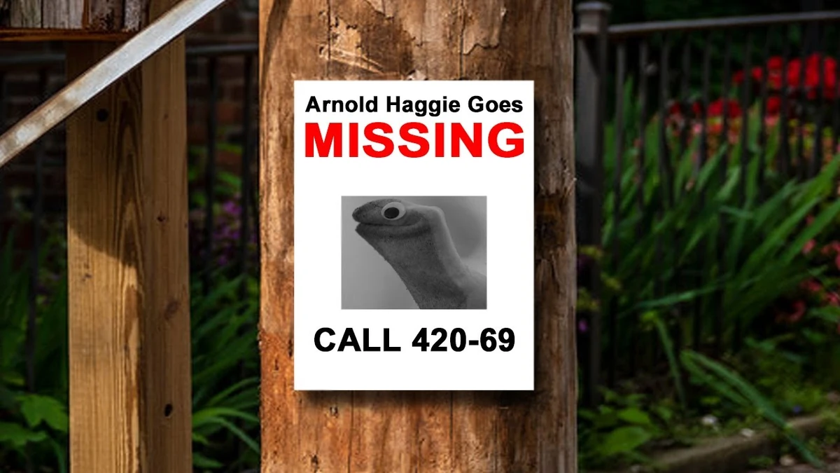 Arnold Haggie Goes Missing | Shrektacular Studios Wiki | Fandom