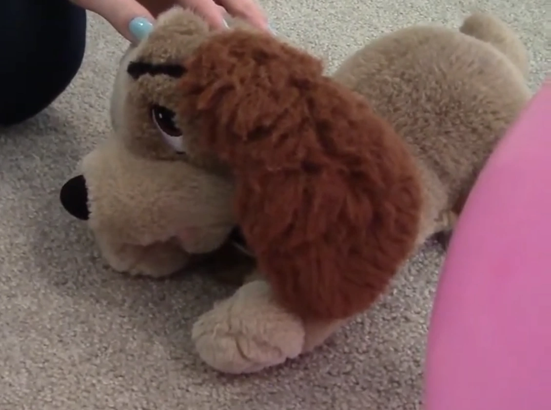 Lady | Shrimp Hunter Fanon Wiki | Fandom