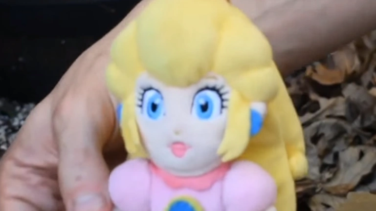 Princess Peach | Shroomsurvivalguide Wiki | Fandom