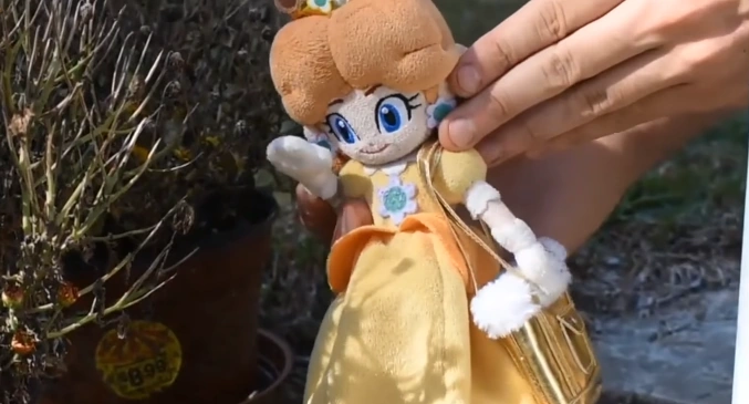 Princess Daisy | Shroomsurvivalguide Wiki | Fandom