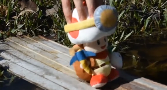 Toad | Shroomsurvivalguide Wiki | Fandom