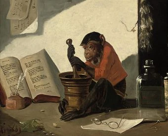 13.08 | The Shrouded Lands Wiki | Fandom