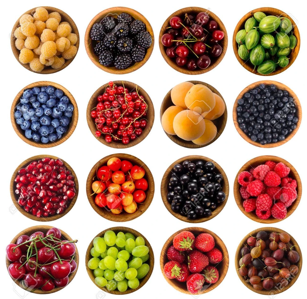 Fruit | Sam & His Toomie Friends Wiki | Fandom