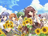 Shuffle! | Shuffle Wiki | Fandom