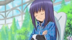 Nadeshiko Fujisakinagihiko Fujisaki Shugo Chara Wiki Shugo Chara