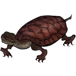 Kame | Shujinkou Wiki | Fandom