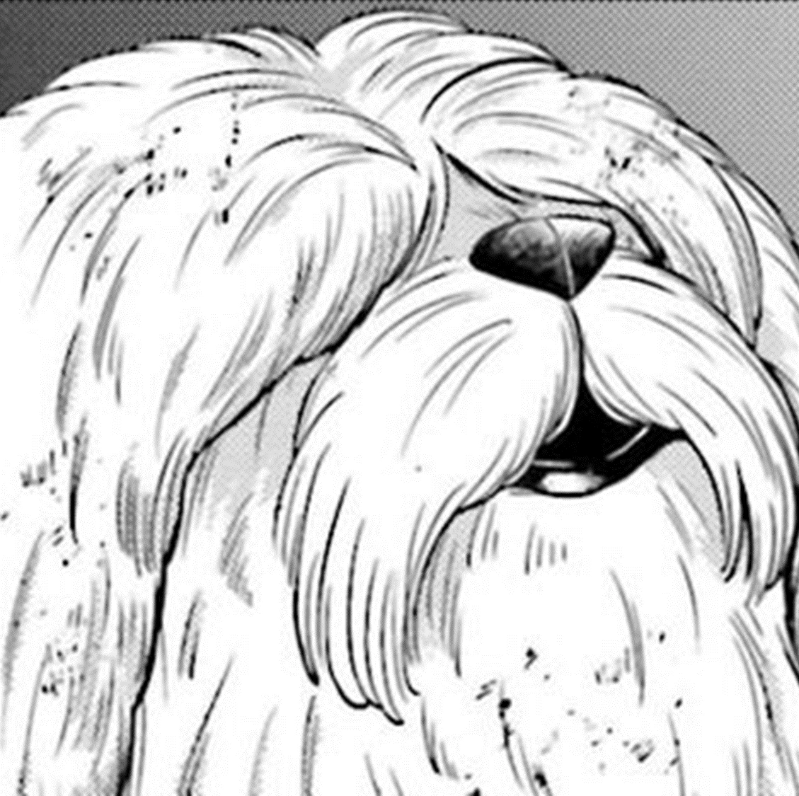 Geis/Image Gallery | Shuumatsu no Valkyrie: Record of Ragnarok Wiki ...