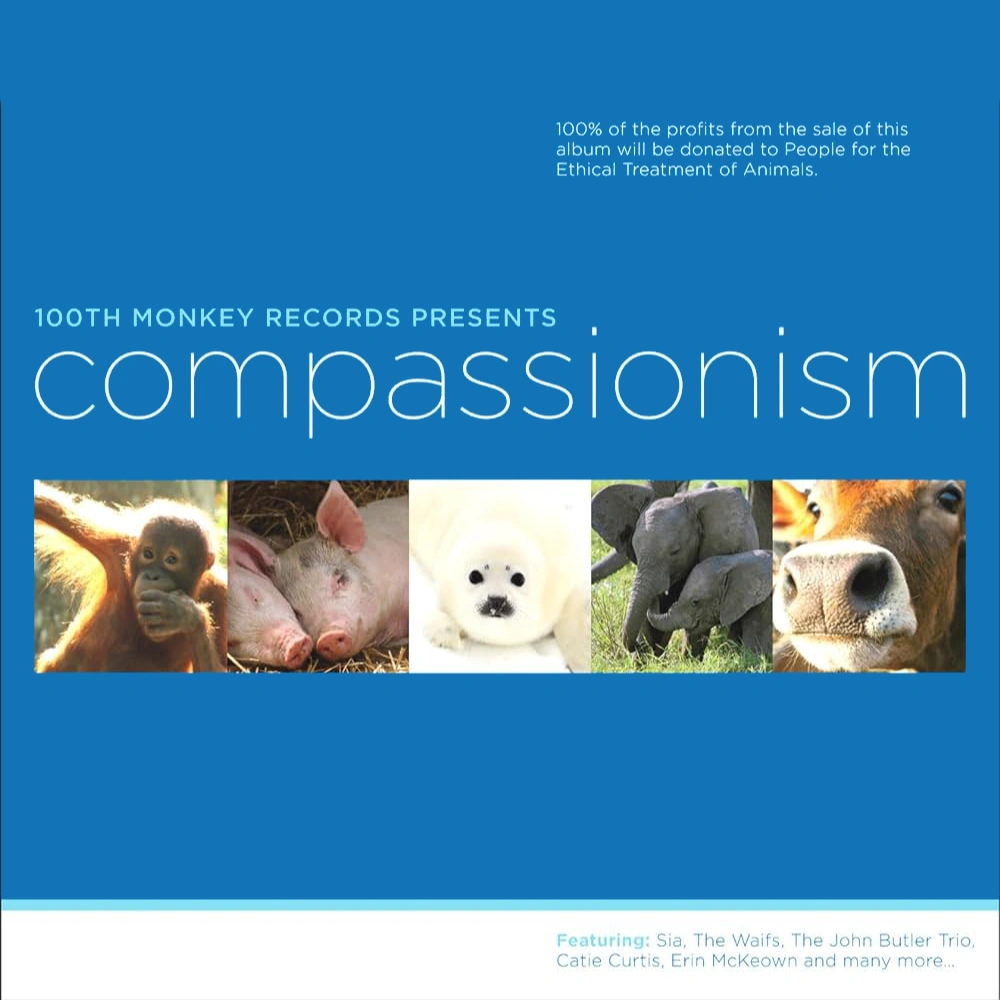 The Real Thing | Sia Wiki | Fandom