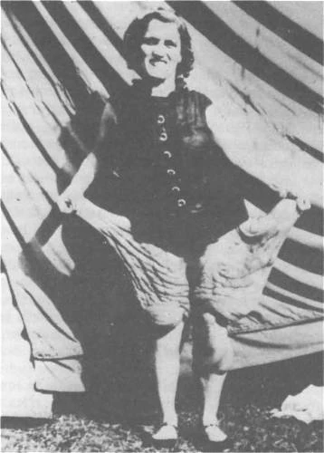 Agnes Schmidt | Sideshow Wiki | Fandom