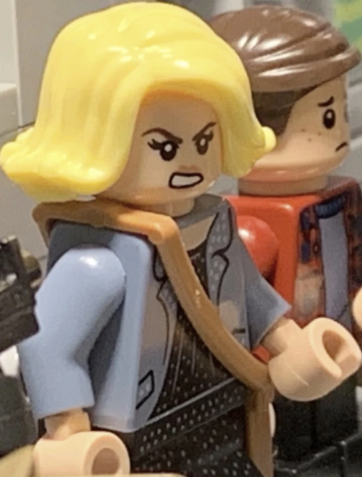 Janet Drake | Sidh05's Lego DC Universe Wiki | Fandom