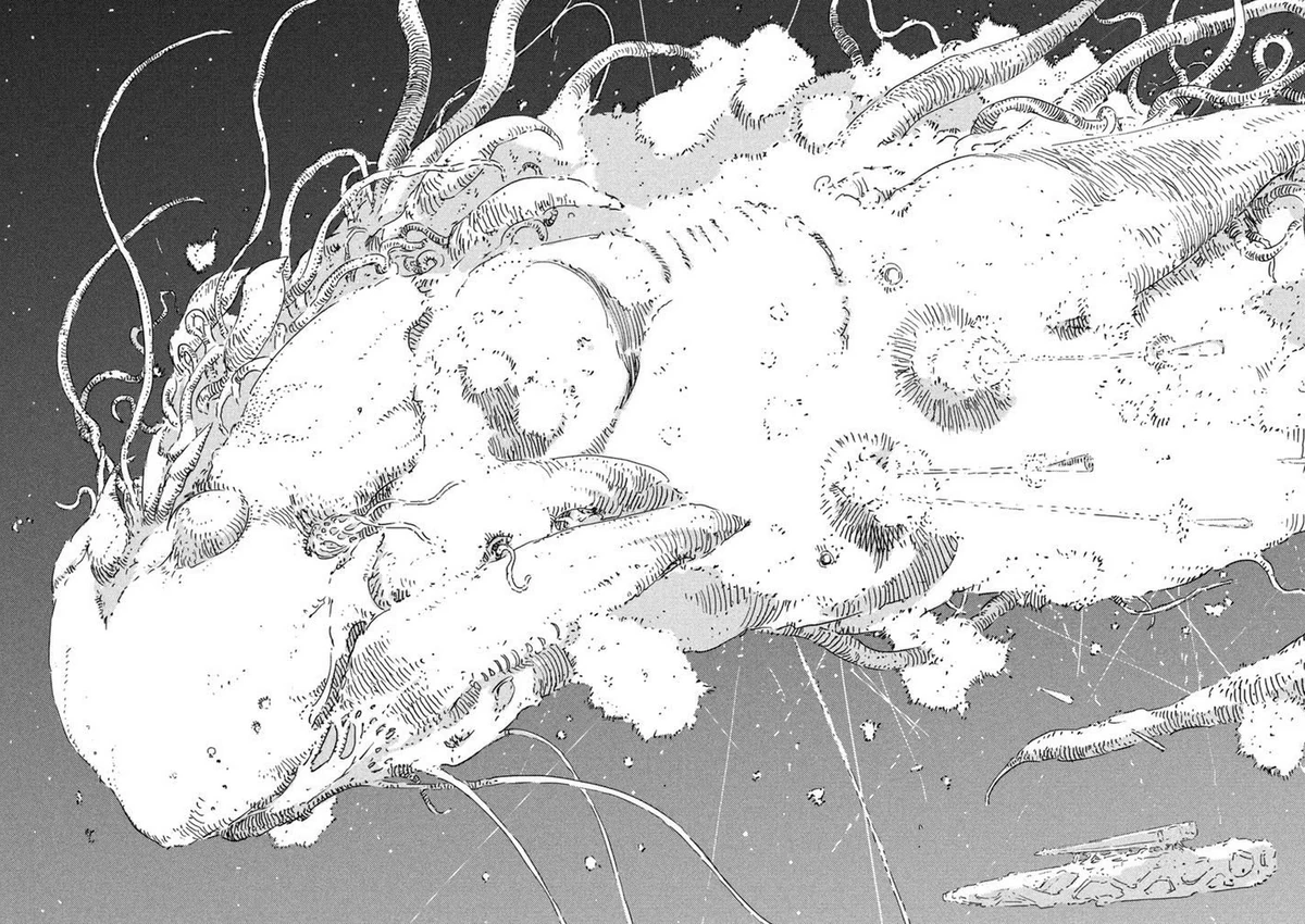 Second Assault Fleet Gauna | Sidonia no Kishi Wiki | Fandom