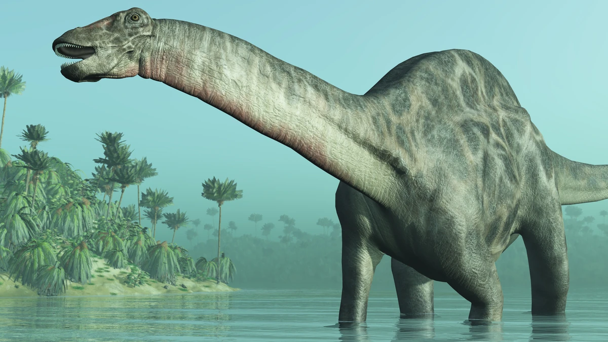 Tyrra | Sidrillon Wiki | Fandom