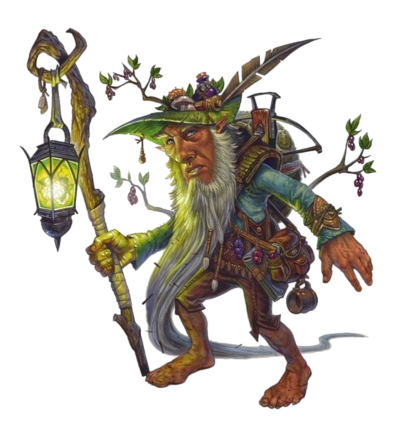 Gnom | Sidrillon Wiki | Fandom