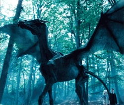 Thestral | Sifsbeastiary Wiki | Fandom