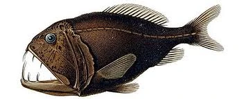 Shrake | Sifsbeastiary Wiki | Fandom