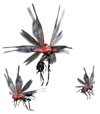 Bnahabra | Sifsbeastiary Wiki | Fandom