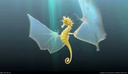 Flying seahorse | Sifsbeastiary Wiki | Fandom