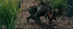 Predator hound | Sifsbeastiary Wiki | Fandom