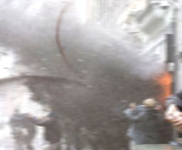 SCP-058 | Sifsbeastiary Wiki | Fandom