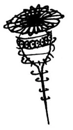 Billywig | Sifsbeastiary Wiki | Fandom