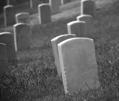 Life and Death Instincts Theory | SigFreud Wiki | Fandom